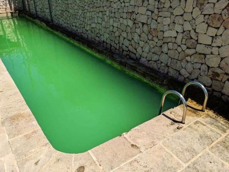 How to Safely Open a Green Pool: A Step-by-Step Guide 2026