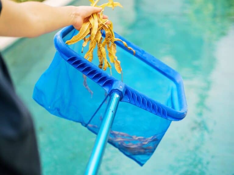 Keep Out Leaves in Pool: 10 Simple and Effective Ways