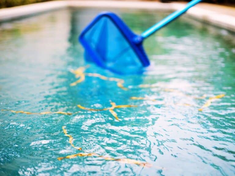 Too Much Chlorine in Pool? Top Easy Ways to Handle Excessive Chlorine ...