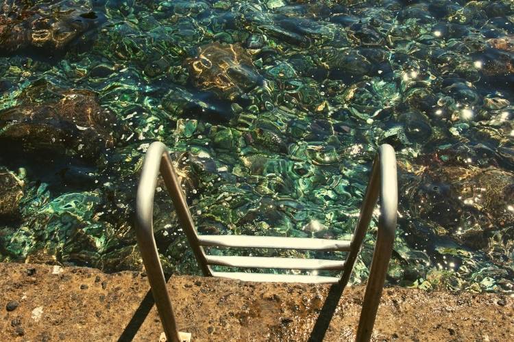 How to Build a Natural Pool in an Earth-Friendly Way 2026