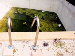 Does Chlorine Kill Algae: Straightforward Answers